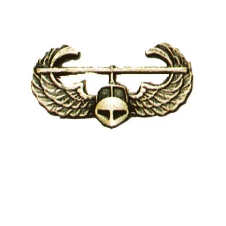 ΣΗΜΑ AIR ASSAULT PIN